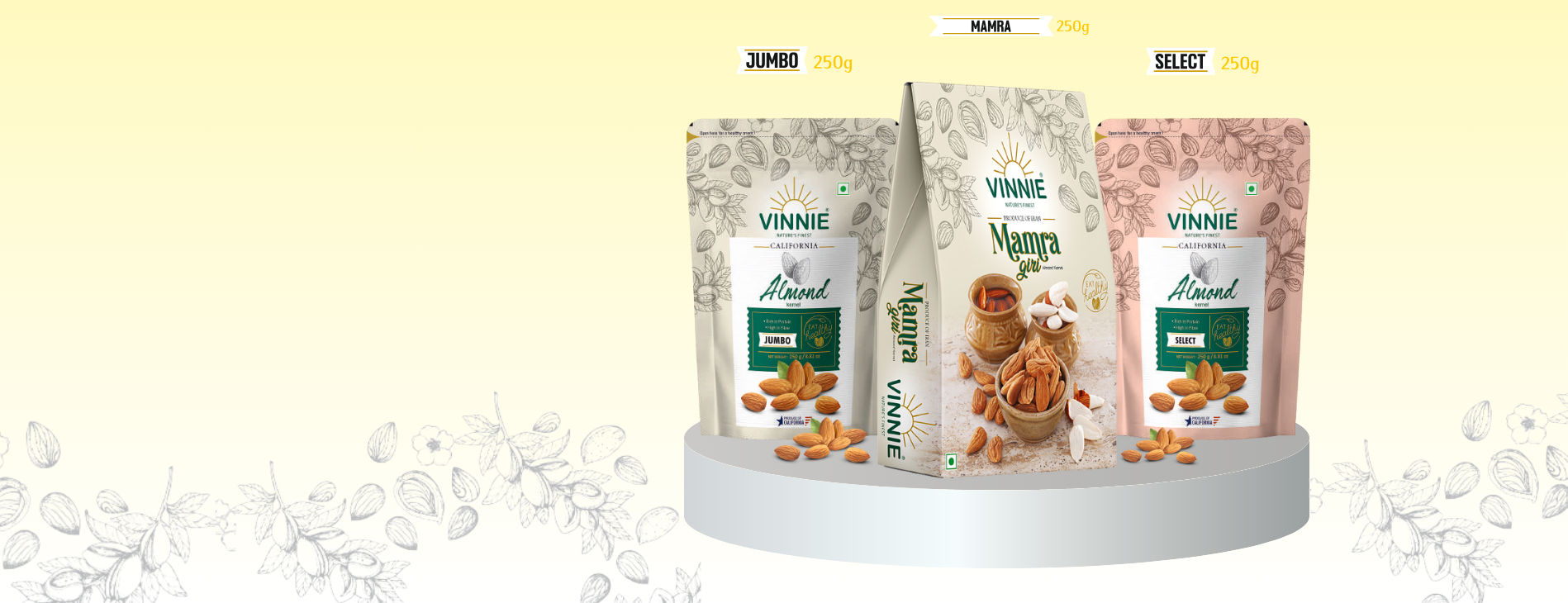 Vinnie Nutworld Private Limited